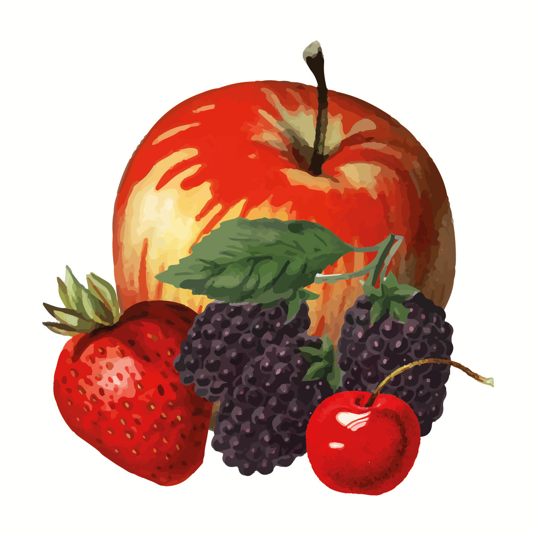 ETHIOPIA GUJI 3 "GUJI ZONE, OROMIA REGION" – Semilla Coffee Lab LLC