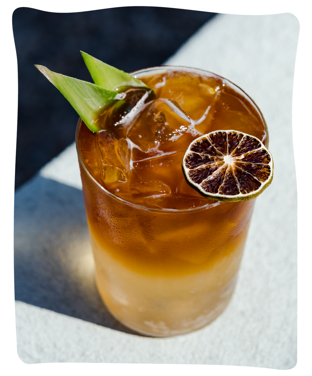 Trago Options – Semilla Coffee Lab LLC