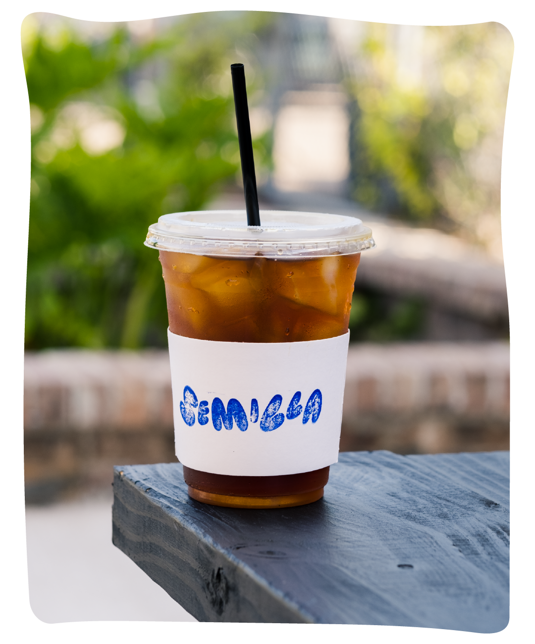 Cold Brew – Semilla Coffee Lab LLC